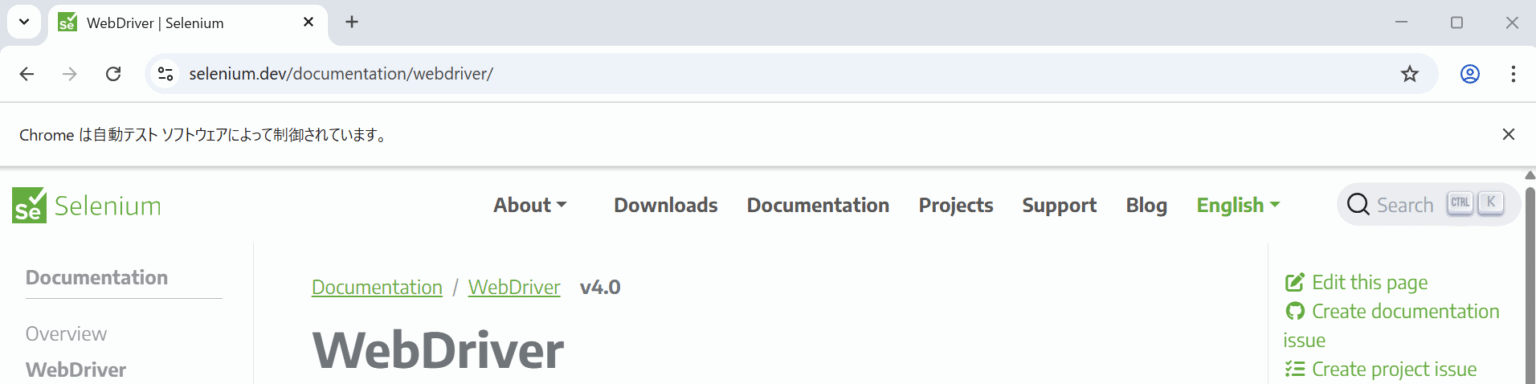 [Python] Seleniumを利用してWebサイトを自在に操作する | Infomisc