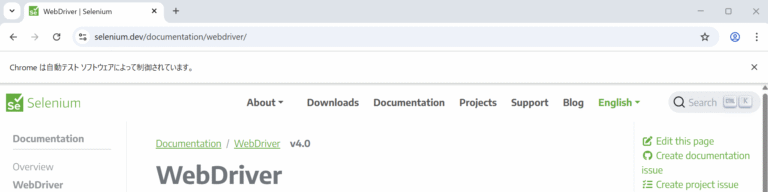 [Python] Seleniumを利用してWebサイトを自在に操作する | Infomisc