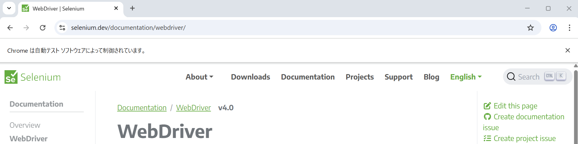 [Python] Seleniumを利用してWebサイトを自在に操作する | Infomisc